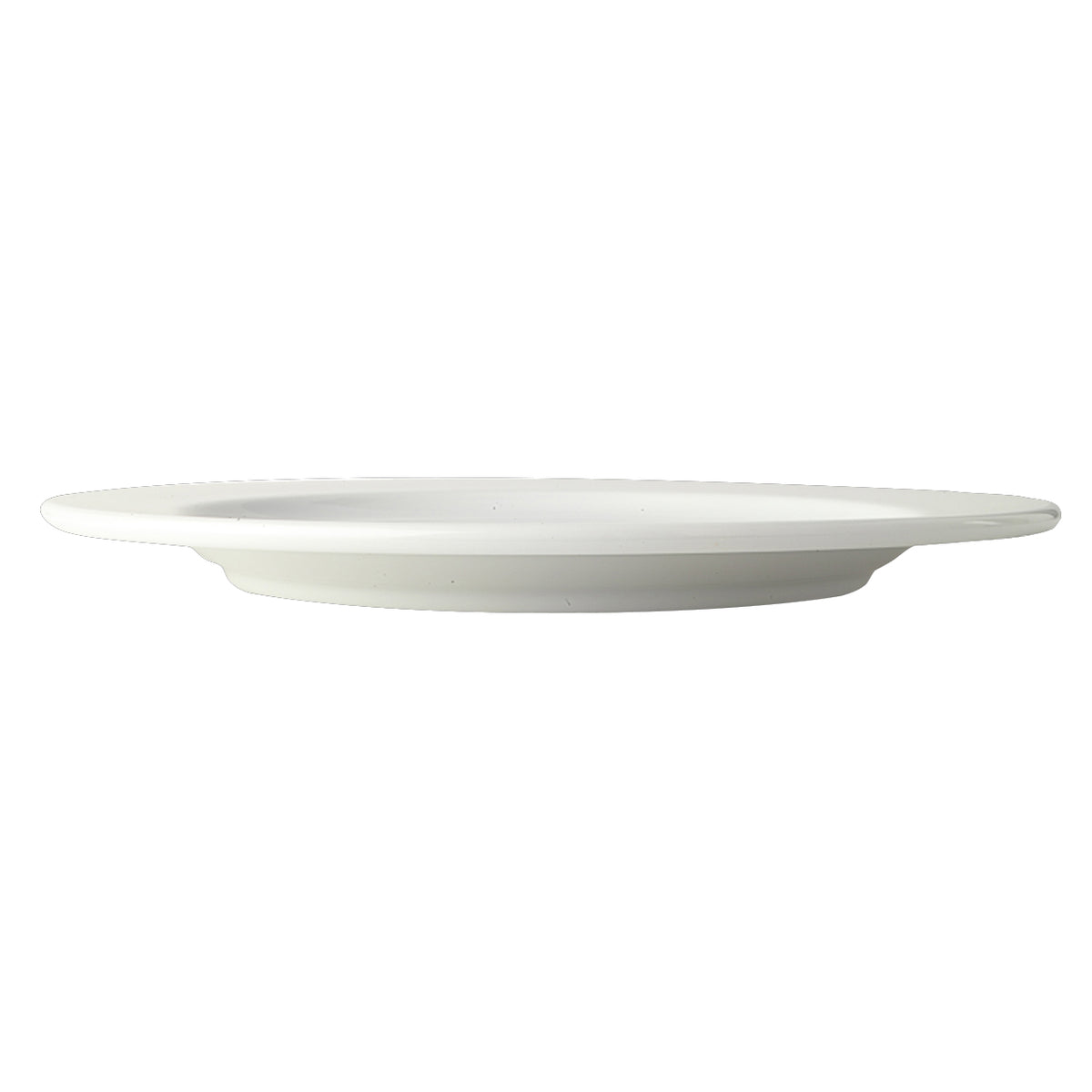 Steelite Avalon Plate, 9 1/2" (24-pack) – ChefEquipment.com
